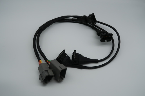 CLEARANCE - AS NEW IGNITION MODULE HARNESS - GR Motorsport Electrics