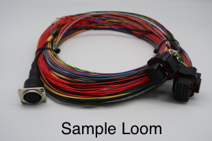 OBSOLETE MOTEC ECU LOOMS - M4, M48, M8 - GR Motorsport Electrics