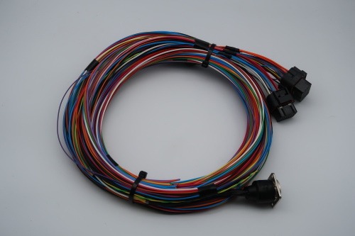 RAYCHEM 44 SPEC CUT TO FIT MOTEC 2.5M PDM15 LOOM - GR Motorsport Electrics